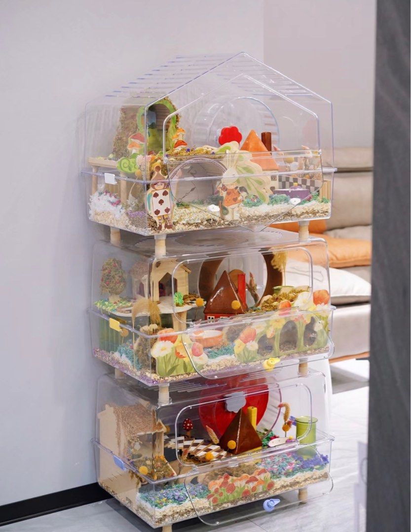 Hamster Acrylic Cage, Pet Supplies, Homes & Other Pet Accessories on ...