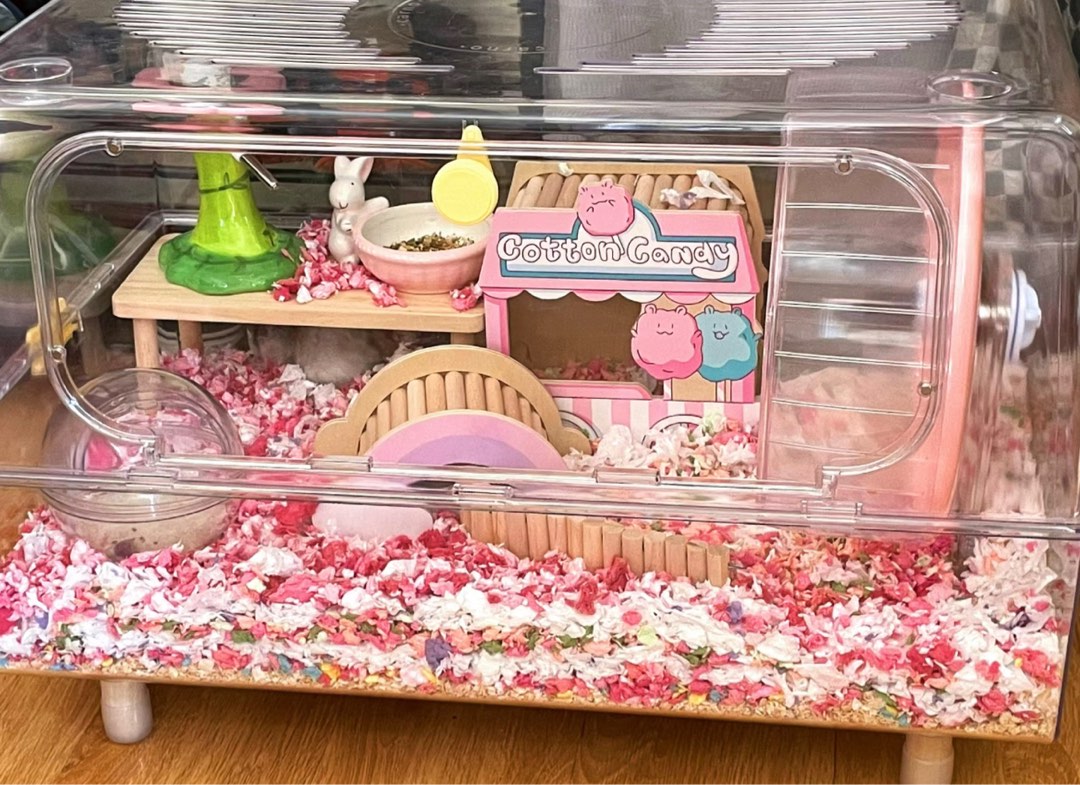 Hamster Acrylic Cage, Pet Supplies, Homes & Other Pet Accessories on ...