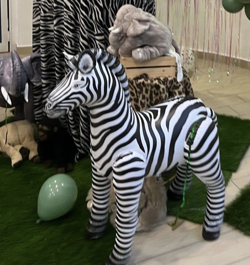 Inflatable Zebra, Hobbies & Toys, Toys & Games on Carousell