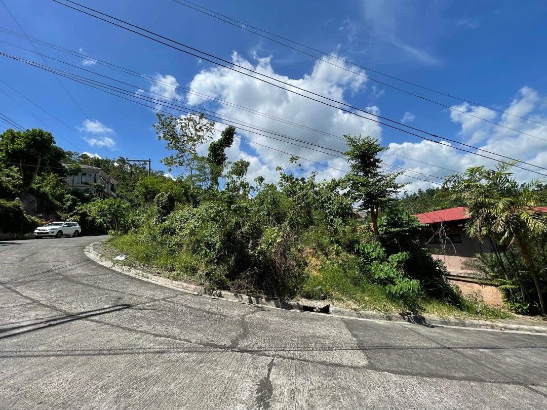 Maria Luisa Cebu Lot for sale on Carousell