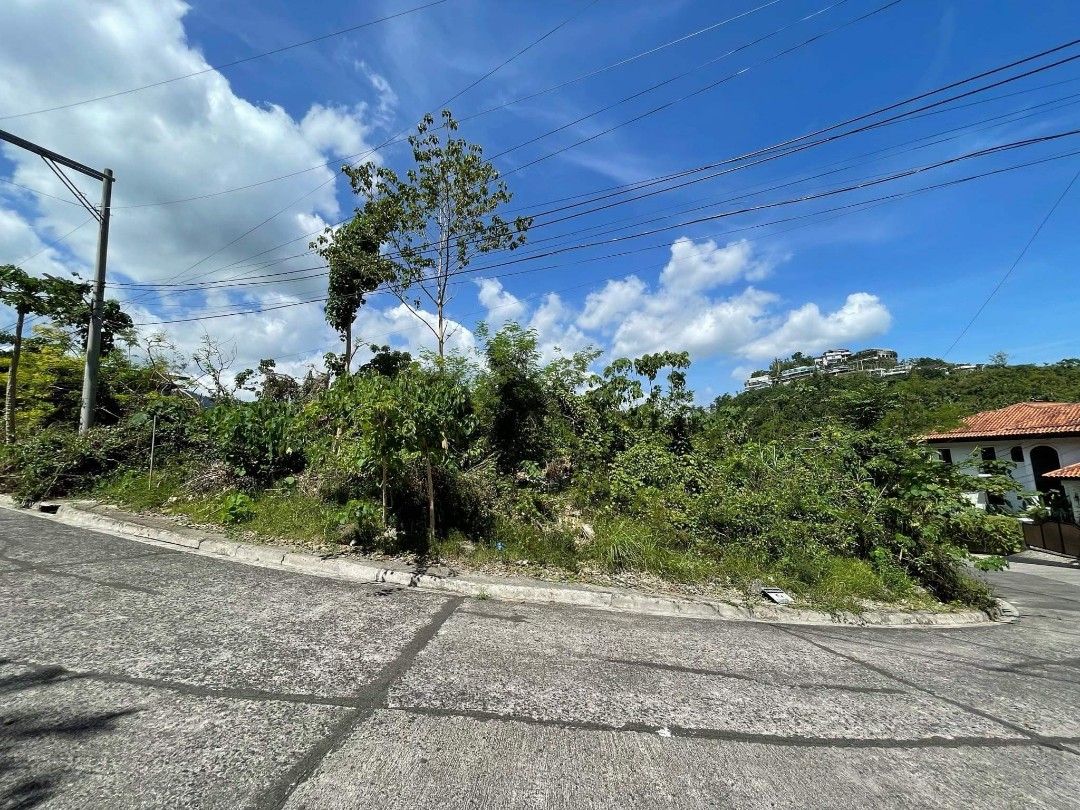 Maria Luisa Cebu Lot for sale on Carousell