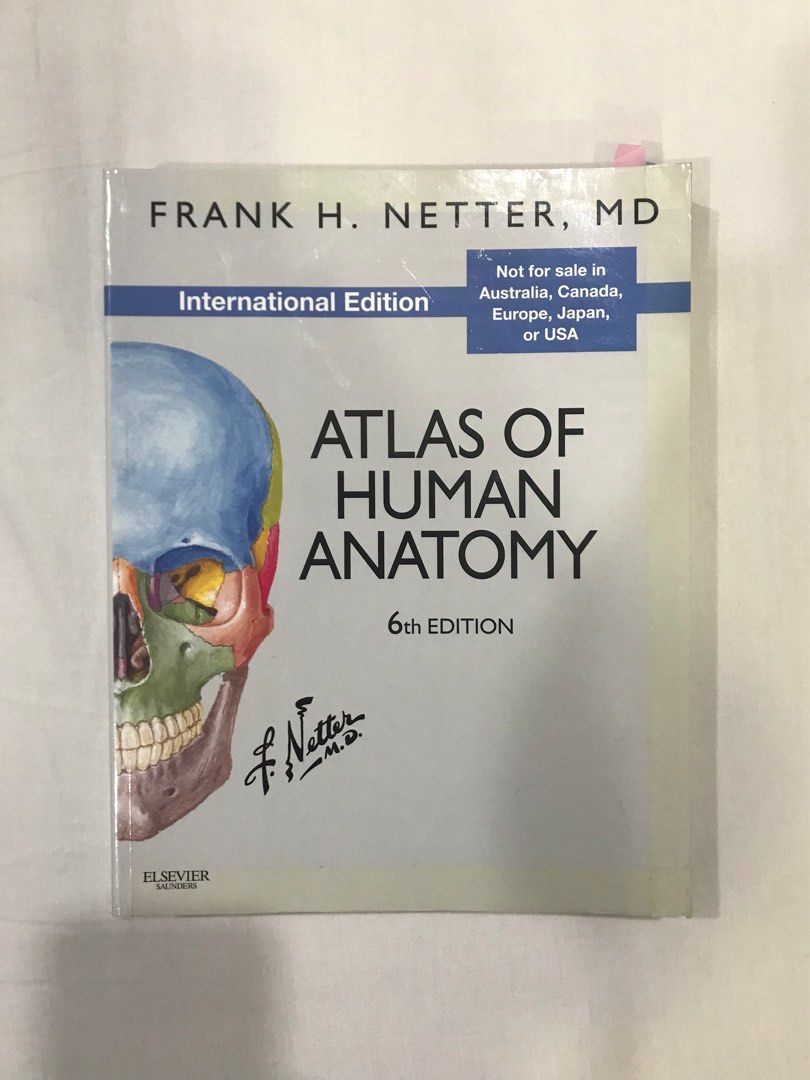 Netter | Atlas of Human Anatomy |, Hobbies & Toys, Books & Magazines ...