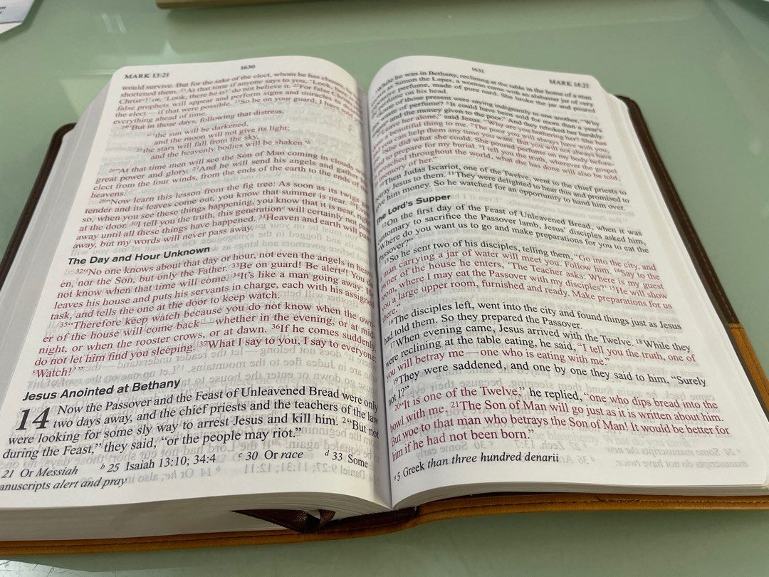 NIV 1984 Large Print Single-Column Bible, Italian Duo-Tone, Hobbies ...