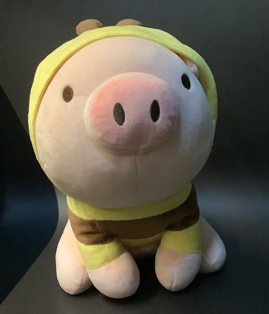 miniso pig with hoodie plush toy, Hobbies & Toys, Toys & Games on Carousell