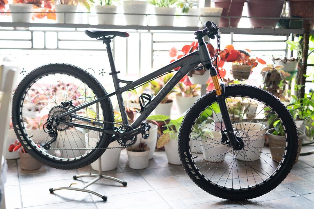 Pinewood Mountain bike 27.5 on Carousell