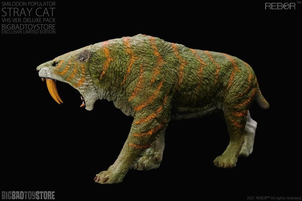 Rebor Smilodon Populator "Stray Cat" (VHS Ver.) Deluxe 1:12 Scale BBTS ...
