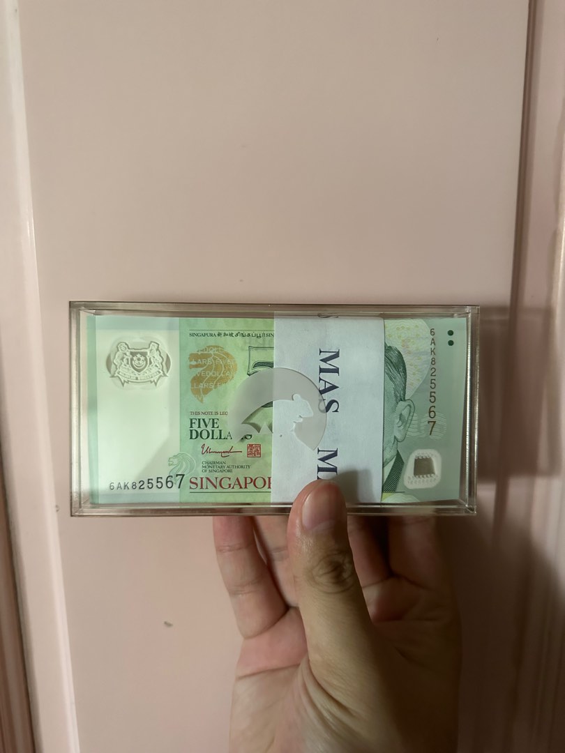 Sqkii Money box, Hobbies & Toys, Memorabilia & Collectibles, Fan ...