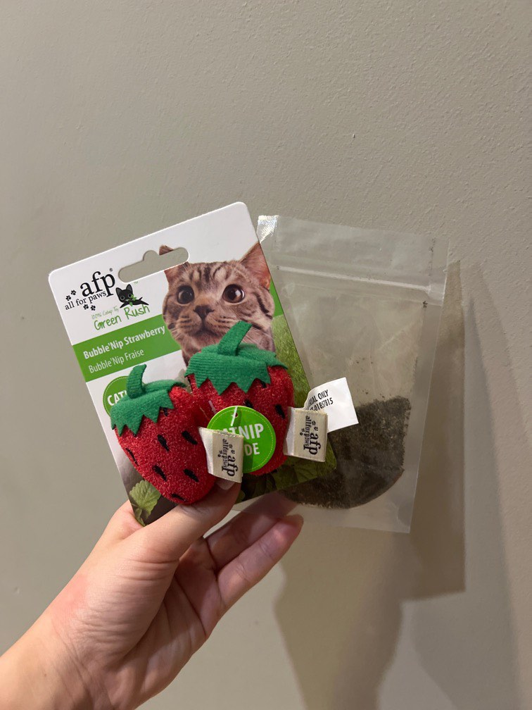 Strawberry Cat Nip toy with extra cat nip, Pet Supplies, Homes & Other ...