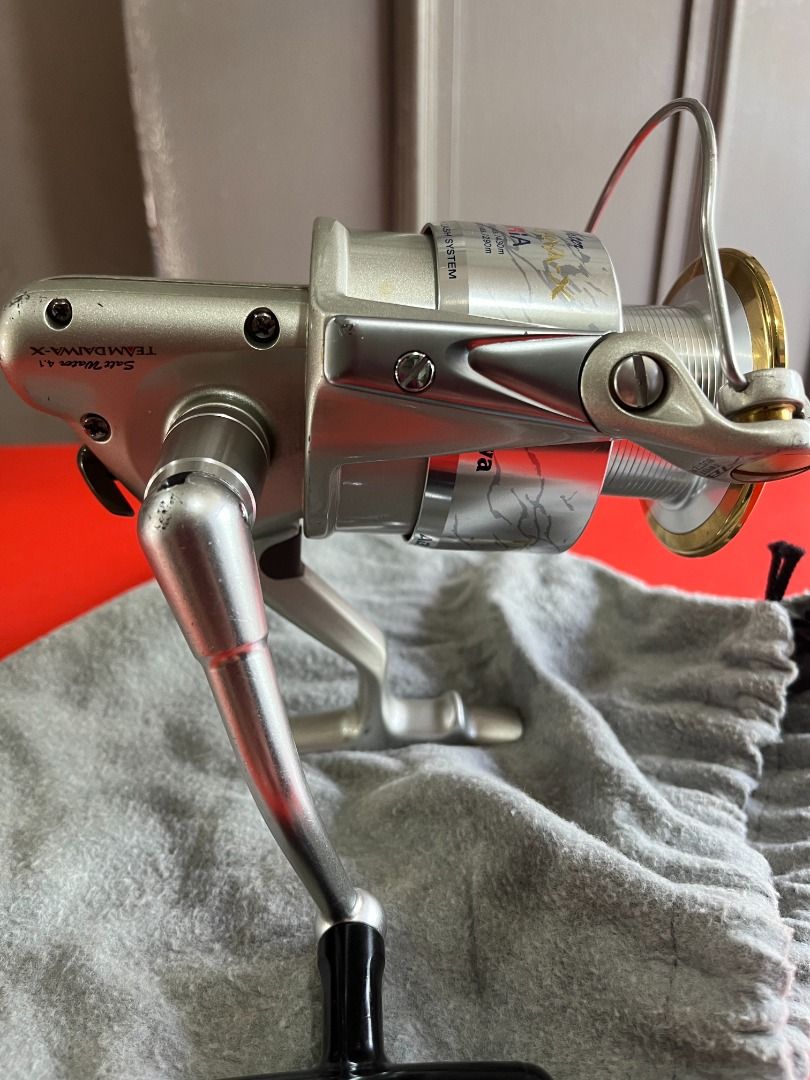 Team Daiwa 6000 RIA Spinning Reel, Sports Equipment, Fishing on Carousell