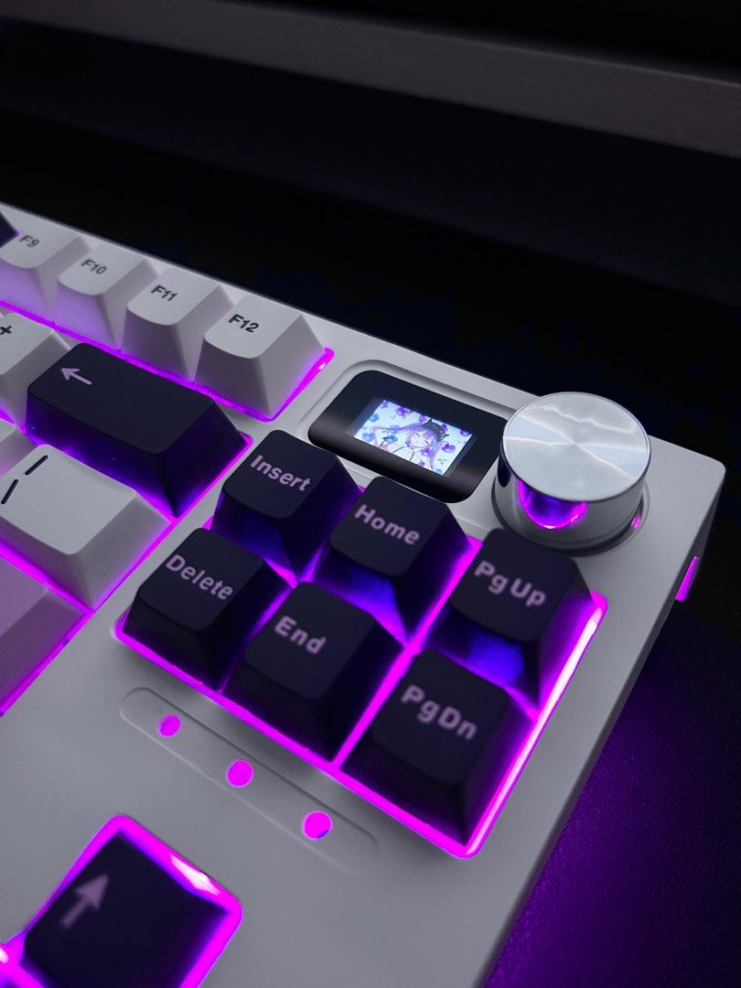 87% TKL custom mechanical keyboard (Amethyst keycaps), Computers & Tech ...