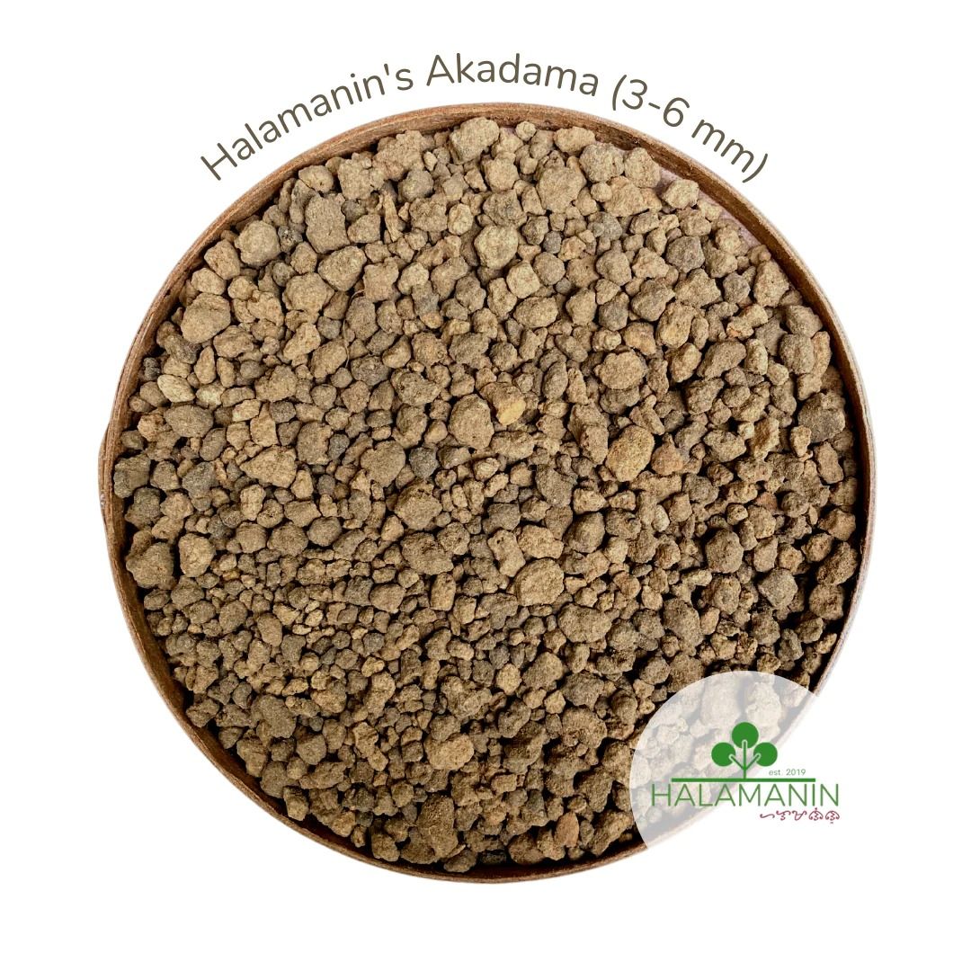 Akadama (3-6 mm)- 18 Liters (Sack), Furniture & Home Living, Gardening ...