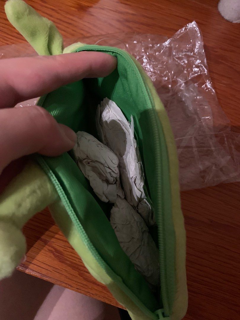 [BNWT] Disney Alien zip pencil case/Tokyo Disneyland Tigger plush ...