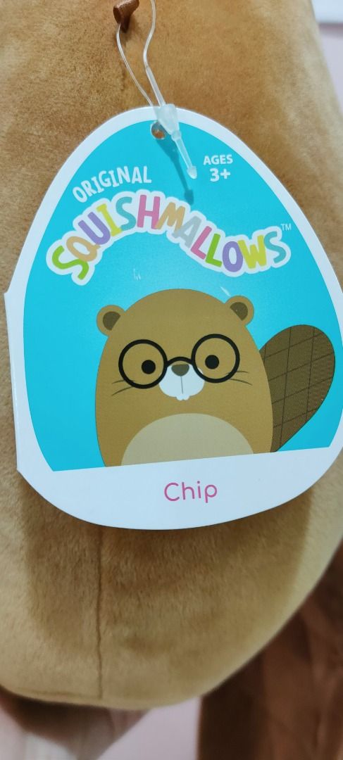 BRAND NEW AUTHENTIC Squishmallows Chip the Beaver with Glasses 8-inch ...