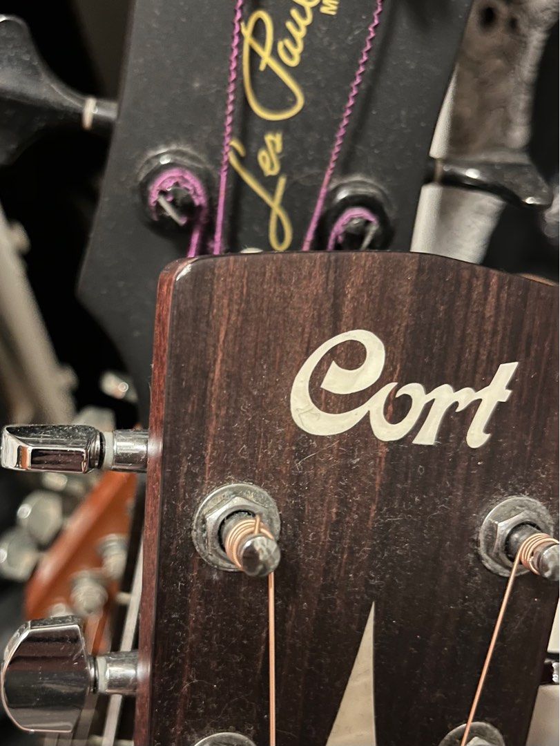 Cort Earth 70 BR Acoustic Guitar, Hobbies & Toys, Music & Media ...