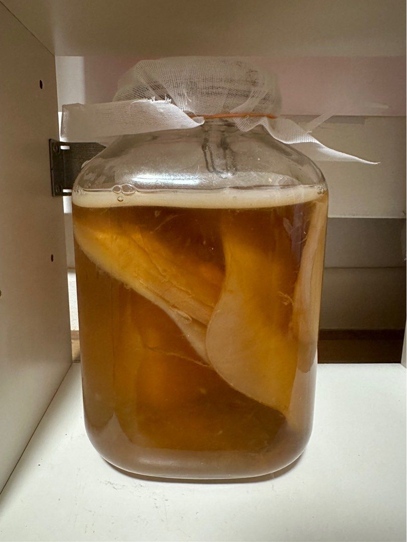 NEW SCOBY AVAILABLE NOW Kombucha Scoby, Food & Drinks, Beverages on ...