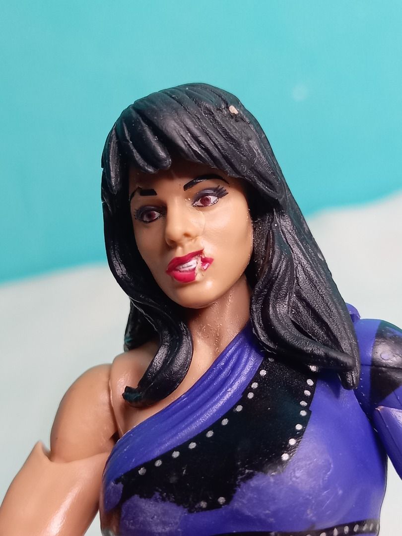 "Layla Divas" 2011 Mattel WWE Action Figure 7" on Carousell