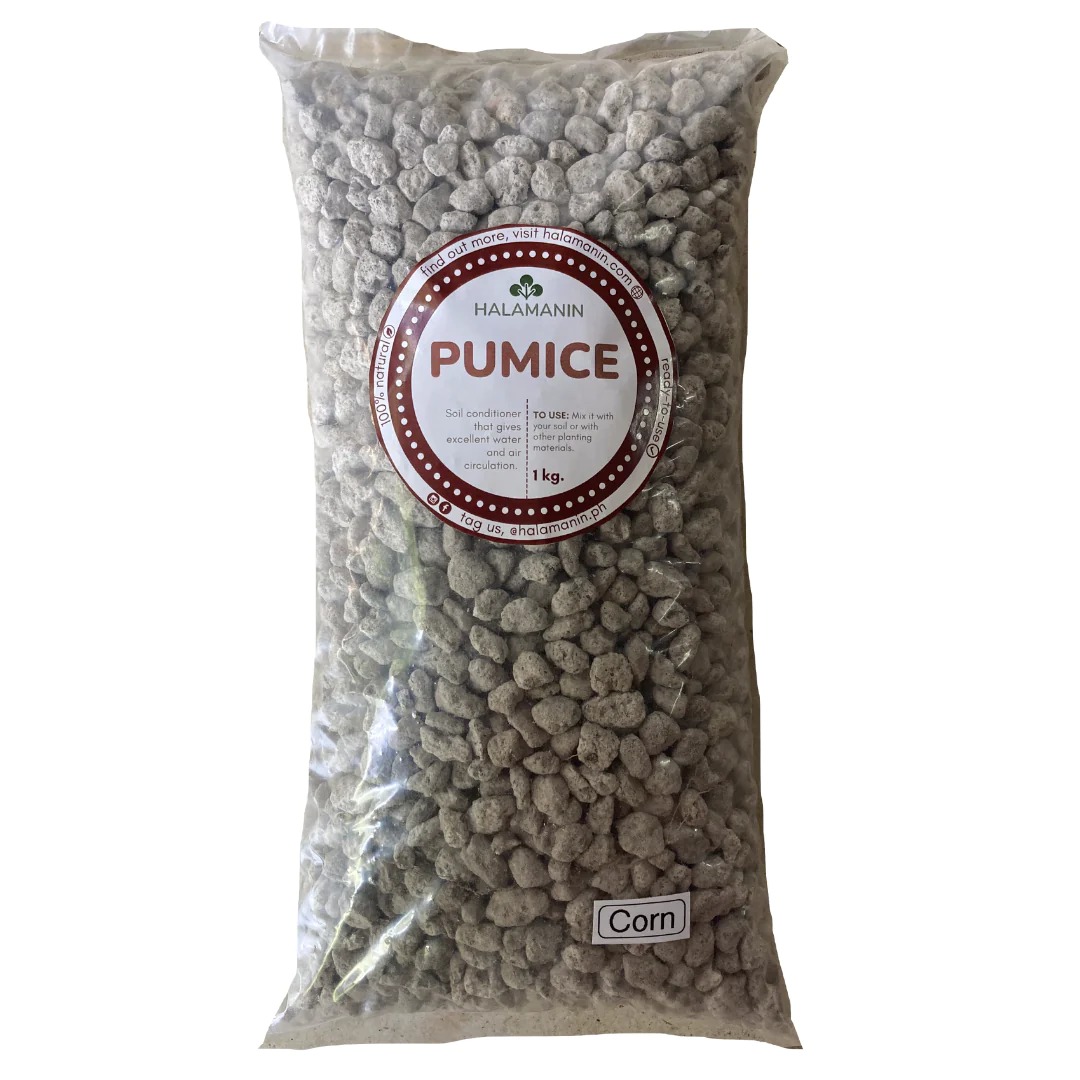 Pumice (Corn Size) -15kgs. (Sack) on Carousell