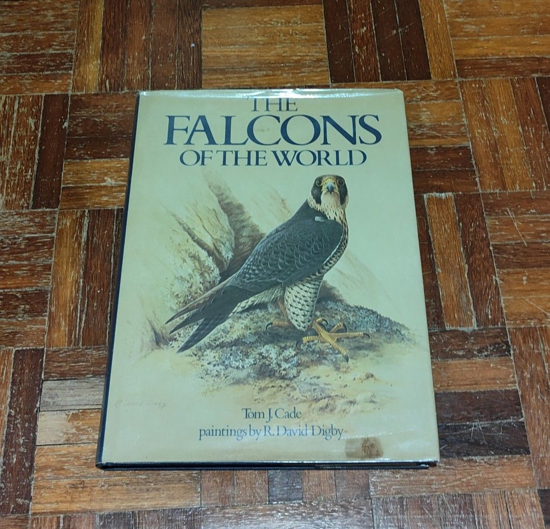Rare! Falcons of the World, Hobbies & Toys, Books & Magazines ...