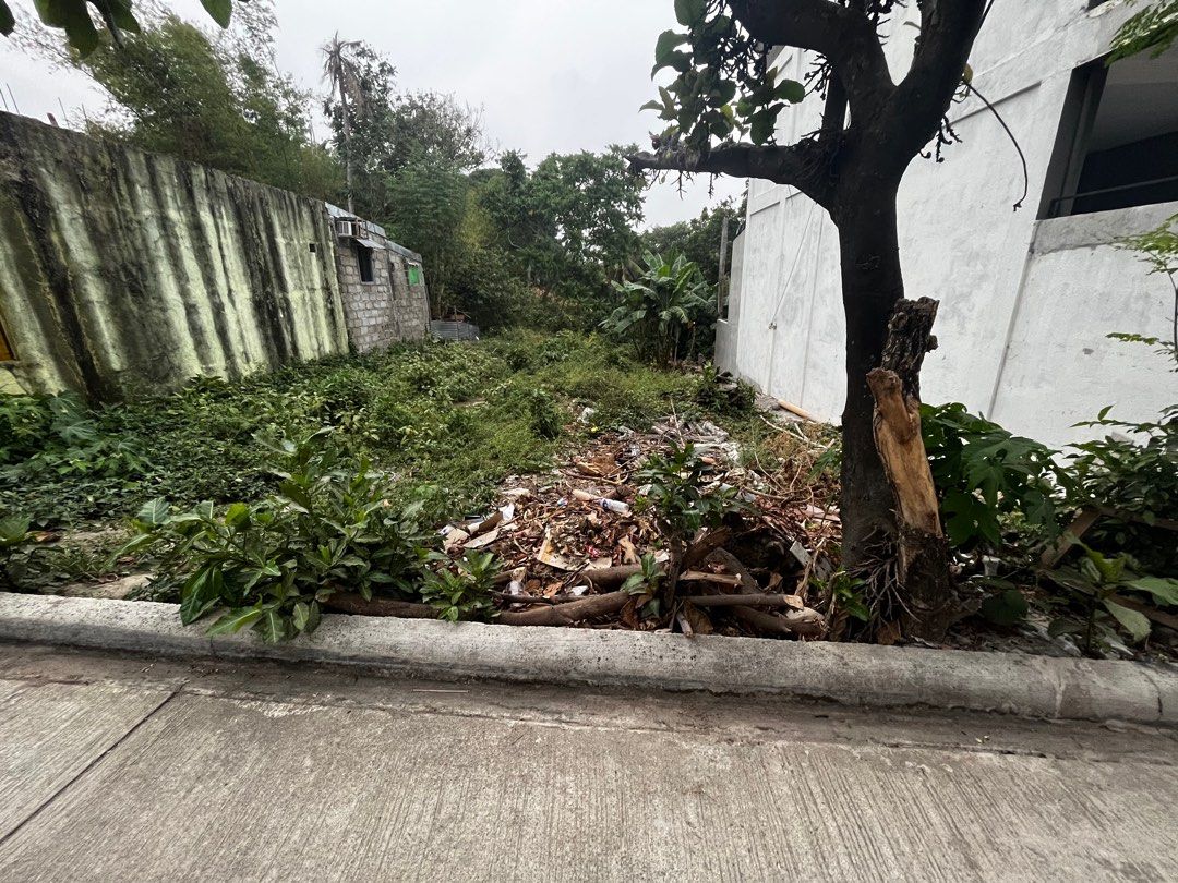 Rush for Sale! Residential Lot located in Calamba Hills Calamba Laguna ...