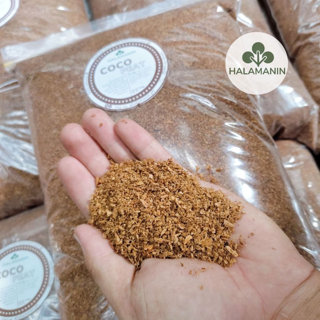 Screened and Sterilized Coco Peat (45 Liters)- Sack, Furniture & Home ...