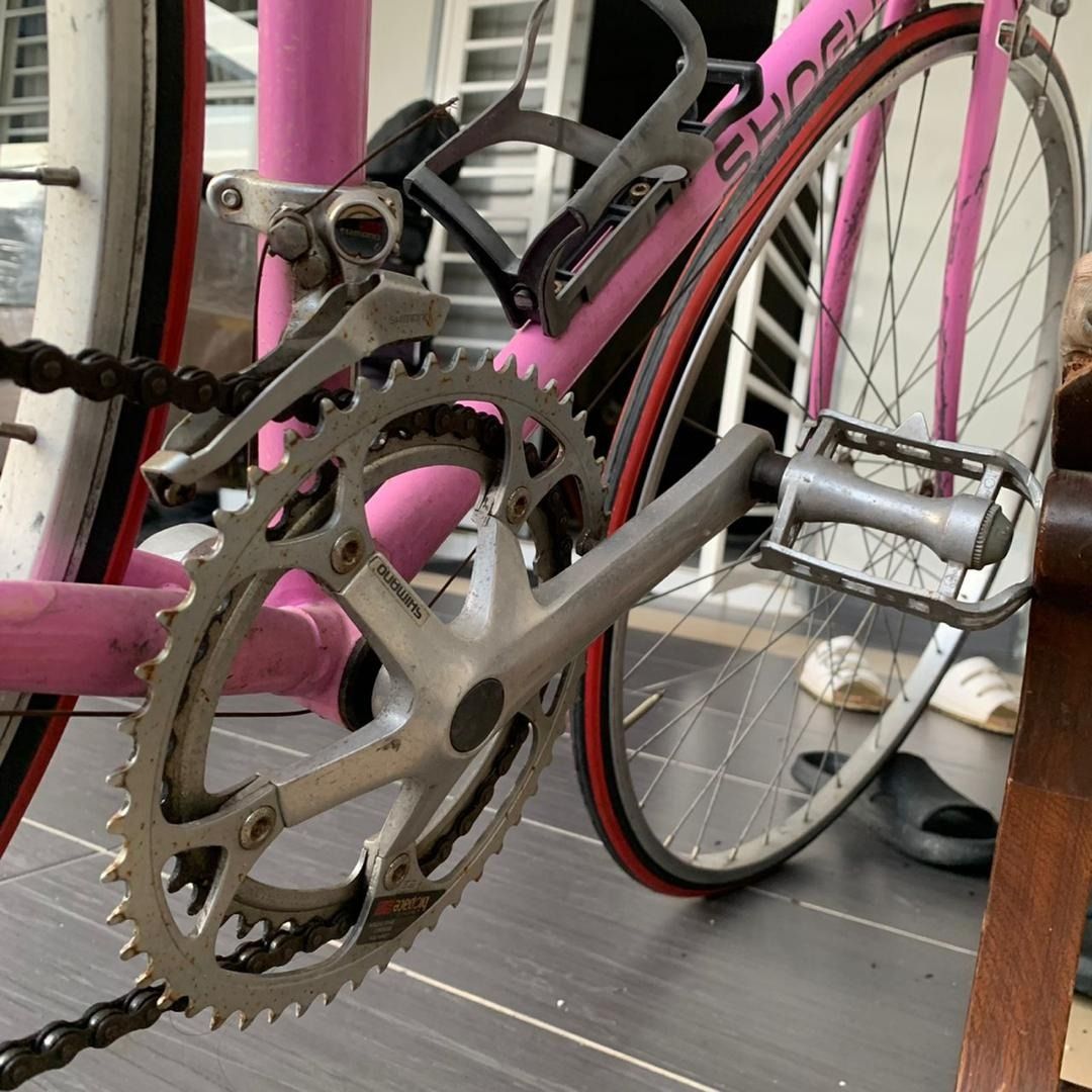 Shogun Selectra Road Bicycle, Sports Equipment, Bicycles & Parts ...