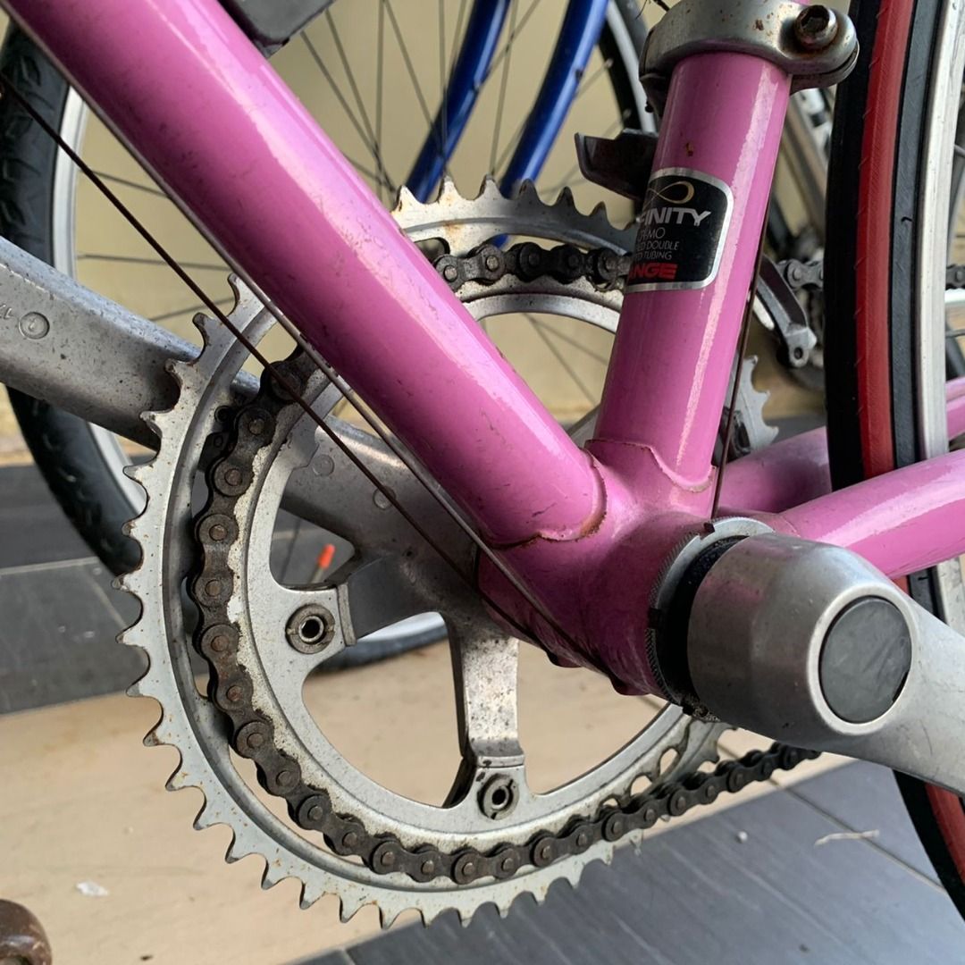 Shogun Selectra Road Bicycle, Sports Equipment, Bicycles & Parts ...