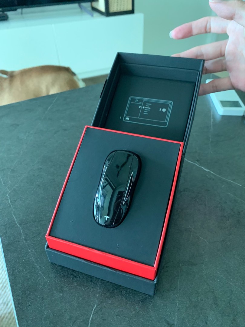 Tesla Key FOB, Car Accessories, Accessories on Carousell