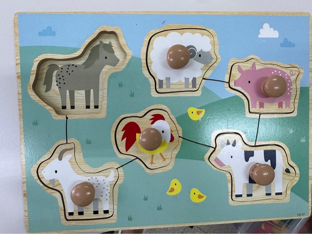 Wooden Nesting Shapes and Animal Puzzles, Babies & Kids, Infant ...