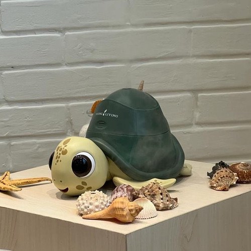 Young Living Shelly the turtle diffuser, Everything Else on Carousell