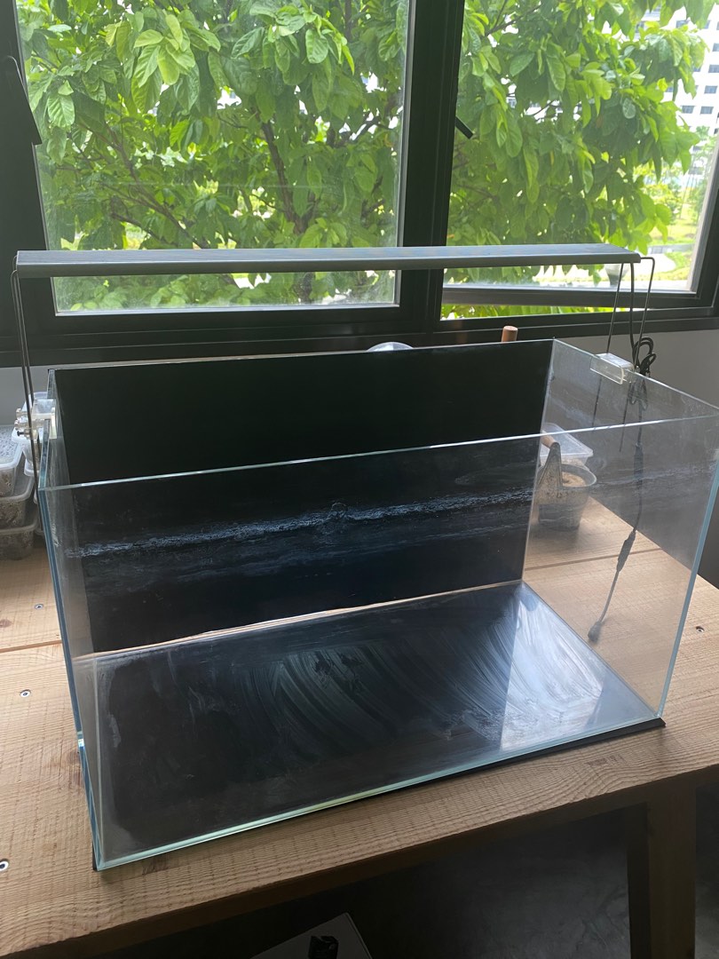 2 ft crystal glass tank + chihiros light, Pet Supplies, Homes & Other ...