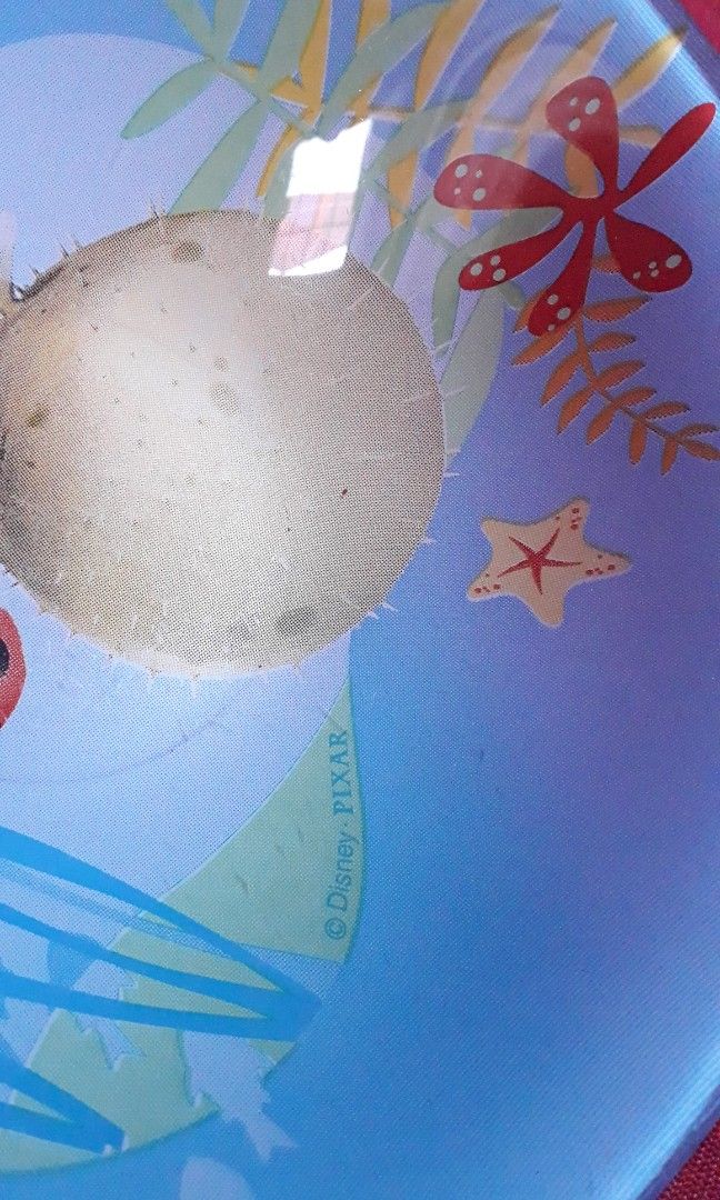 Disney Pixas Finding Nemo Ceramic Bowl on Carousell