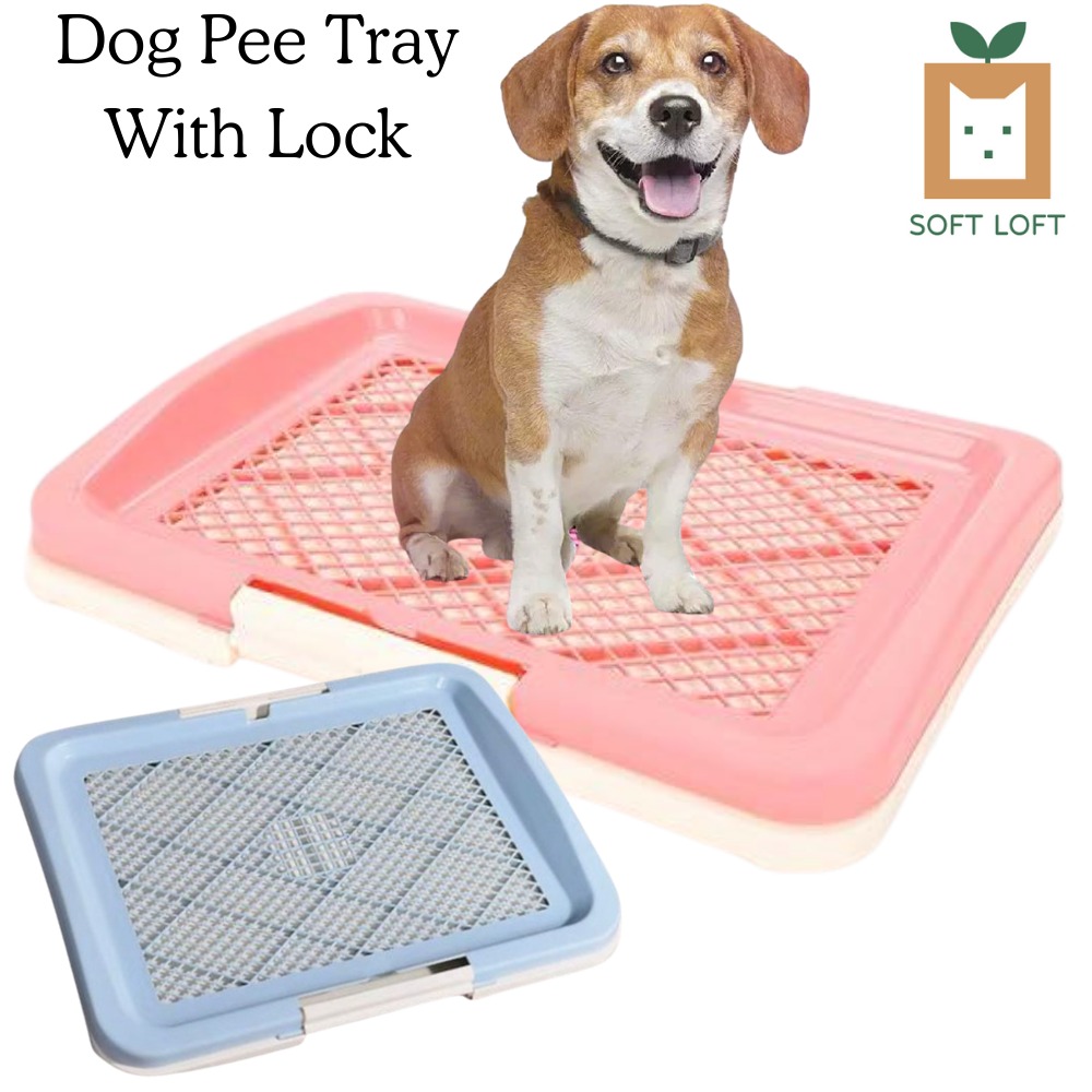Dog Pee Tray Dog Potty Tray Dog Pee Tray With Lock Dogs Puppy Pee Pan ...