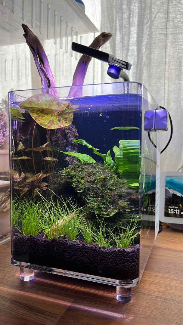 Dymax iq3 nano fish tank, Pet Supplies, Homes & Other Pet Accessories ...