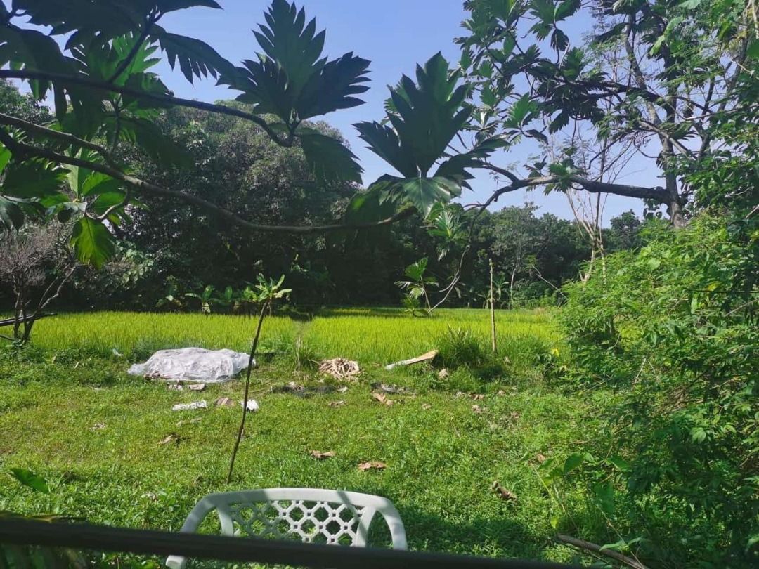 La Union | Farm Lot For Sale - #5147 on Carousell