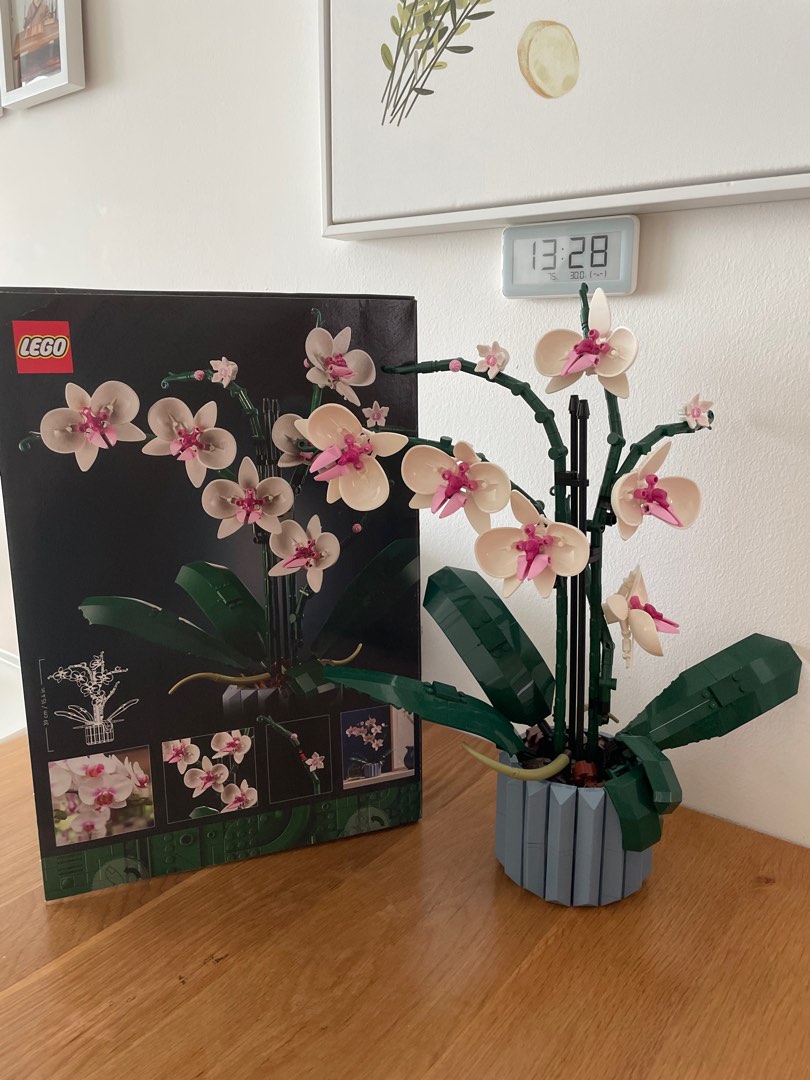 Lego Orchid Botanical Collection, Hobbies & Toys, Stationery & Craft ...