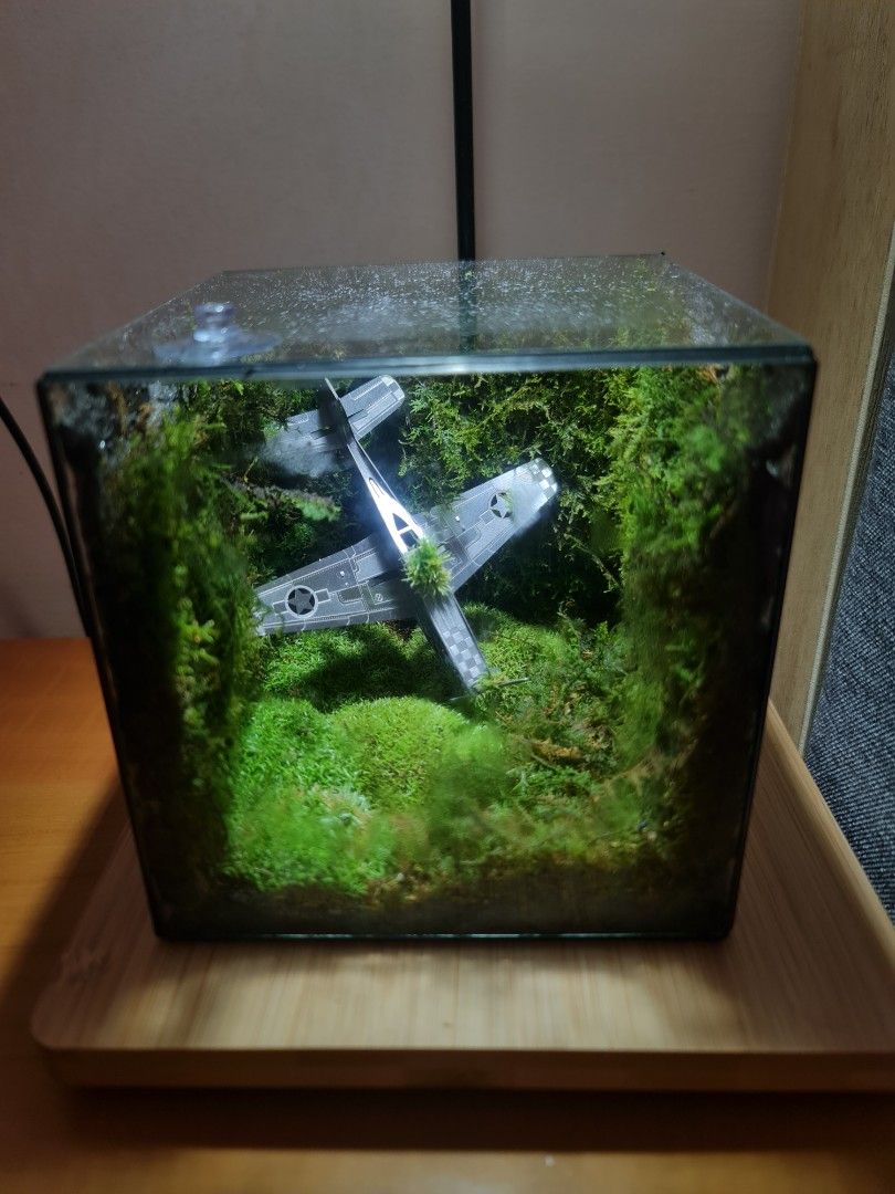 Aircraft enclosed terrarium., Furniture & Home Living, Gardening ...