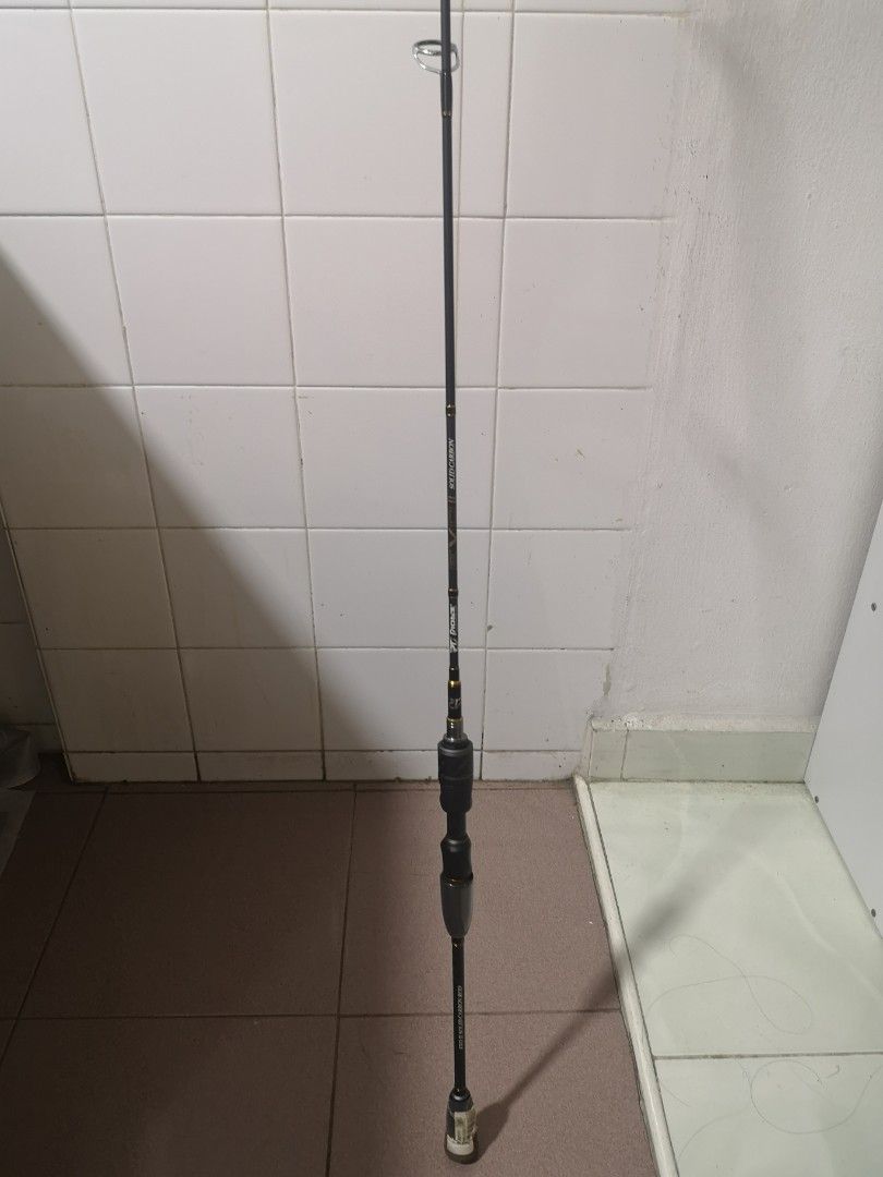 Pioneer Evo II solid carbon rod, Sports Equipment, Fishing on Carousell