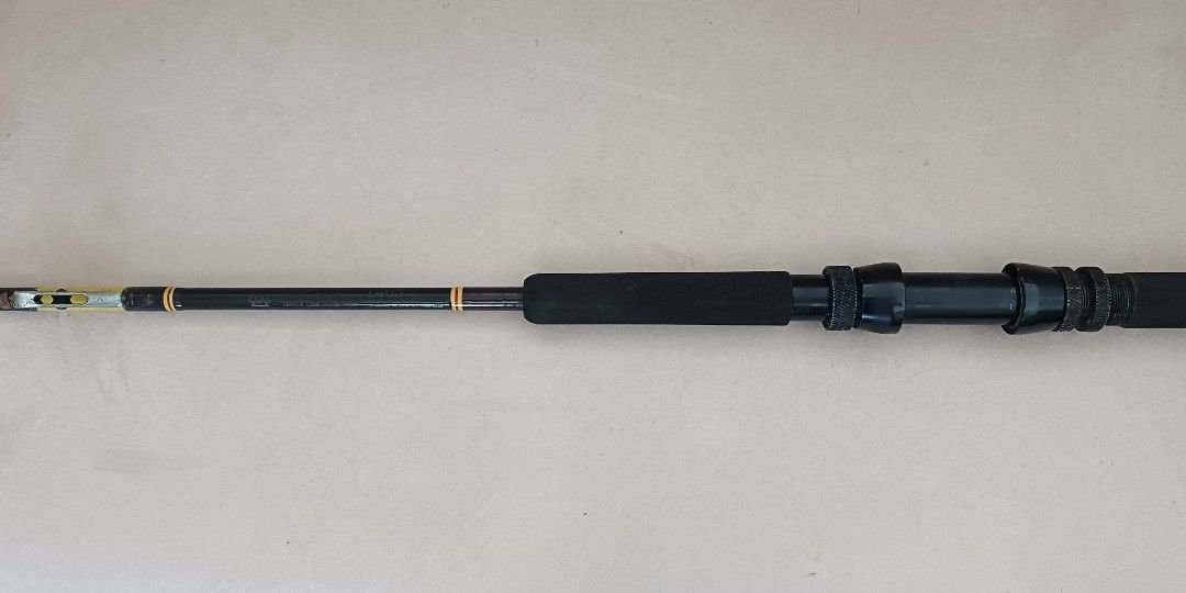 Sigma Boat Rod, Sports Equipment, Fishing on Carousell