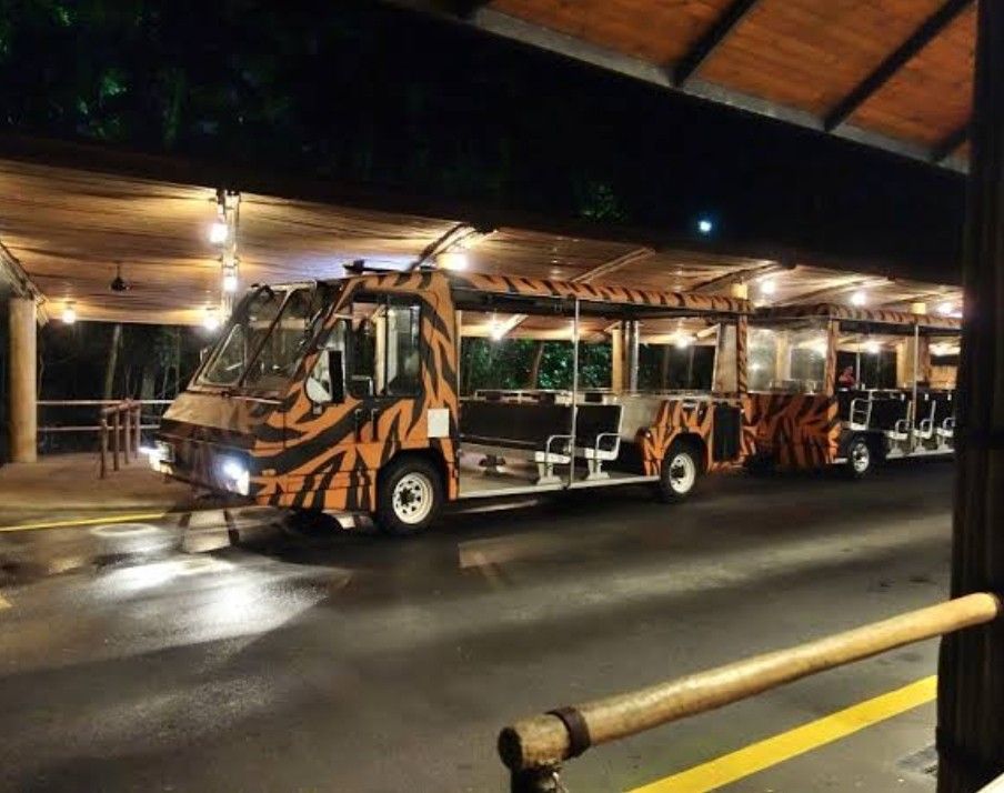 SINGAPORE NIGHT SAFARI + TRAM RIDE, Tickets & Vouchers, Event Tickets on Carousell