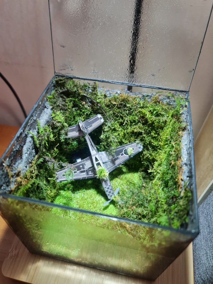 Terrarium (Abandon Airplane), Furniture & Home Living, Gardening ...