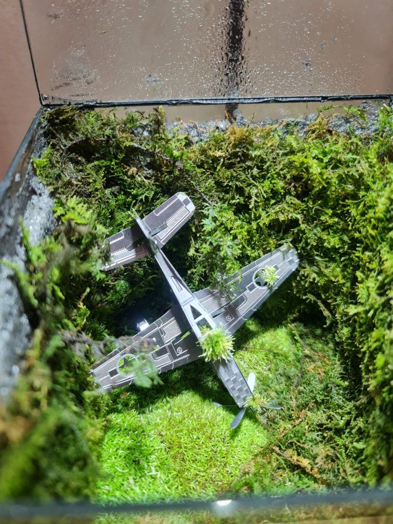 Terrarium (Abandon Airplane), Furniture & Home Living, Gardening ...