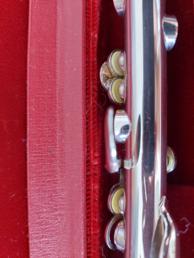 The Fuji Koteki-tai Flute/Fife/Piccolo, Hobbies & Toys, Music & Media ...