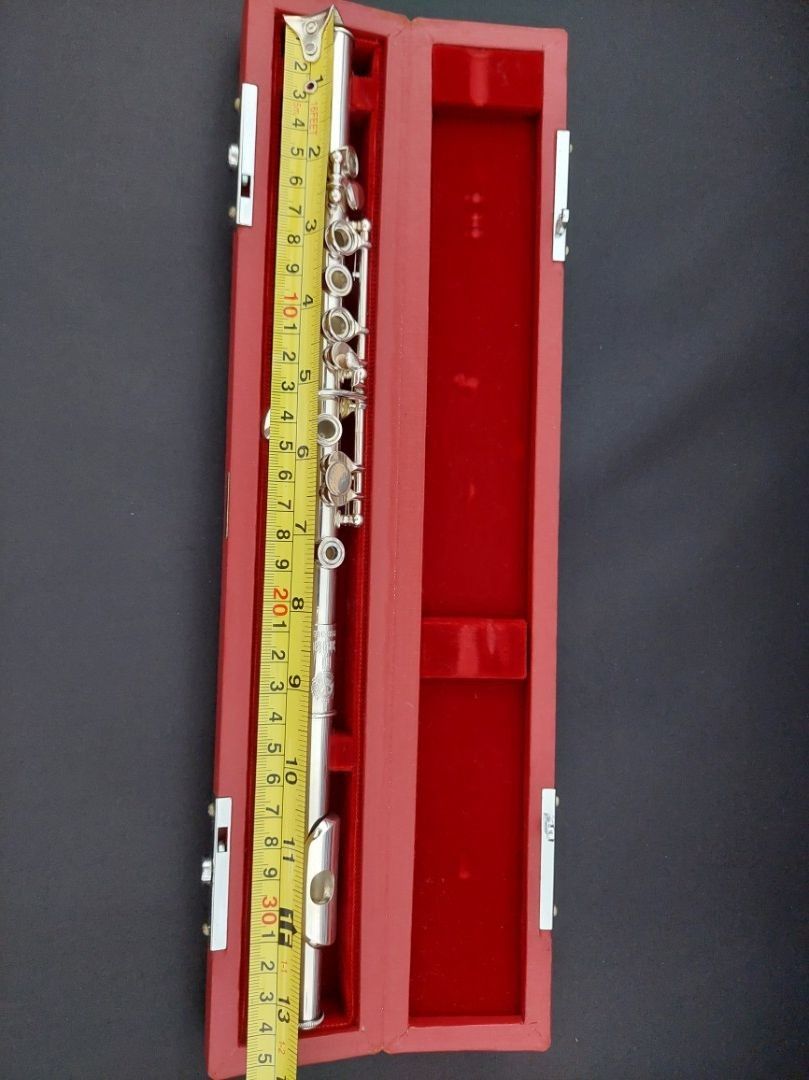 The Fuji Koteki-tai Flute/Fife/Piccolo, Hobbies & Toys, Music & Media ...