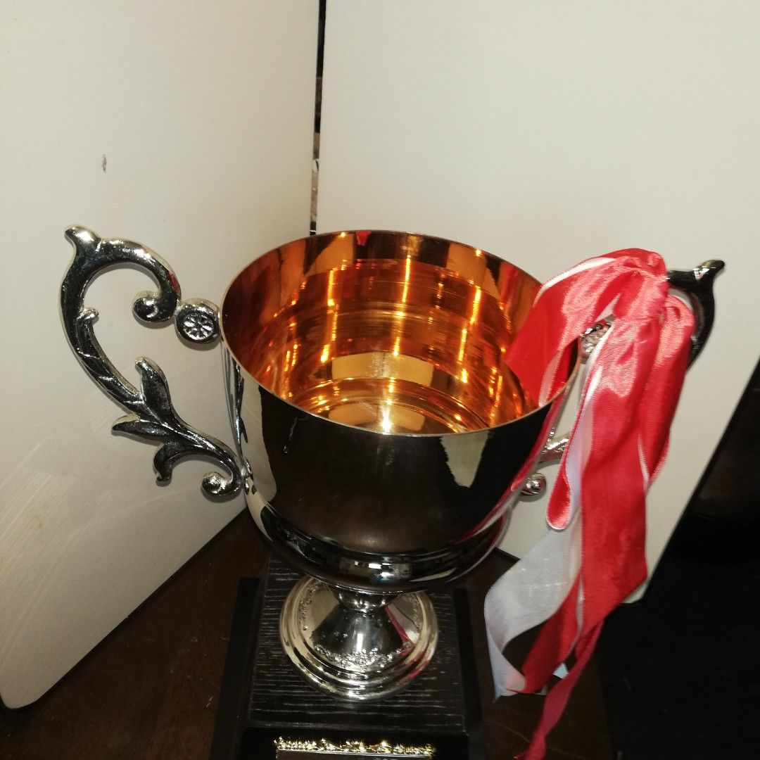big trophy, Hobbies & Toys, Stationary & Craft, Occasions & Party ...