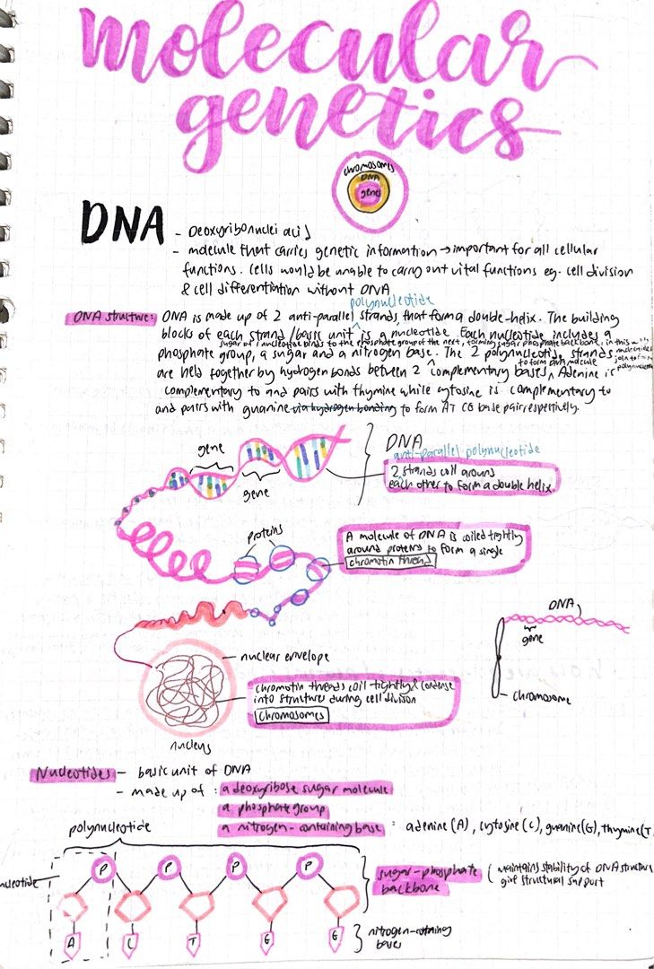 Biology O Level Notes, Hobbies & Toys, Books & Magazines, Assessment ...