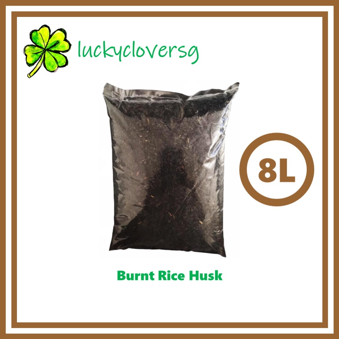 Burnt Rice Husk, Furniture & Home Living, Gardening, Garden Soil ...