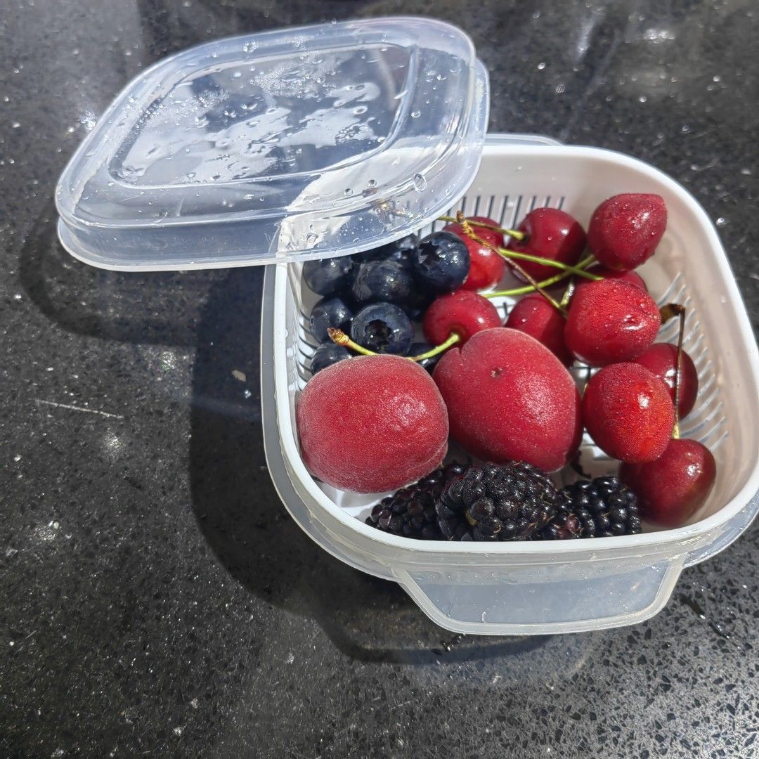 Container drain, Furniture & Home Living, Kitchenware & Tableware ...