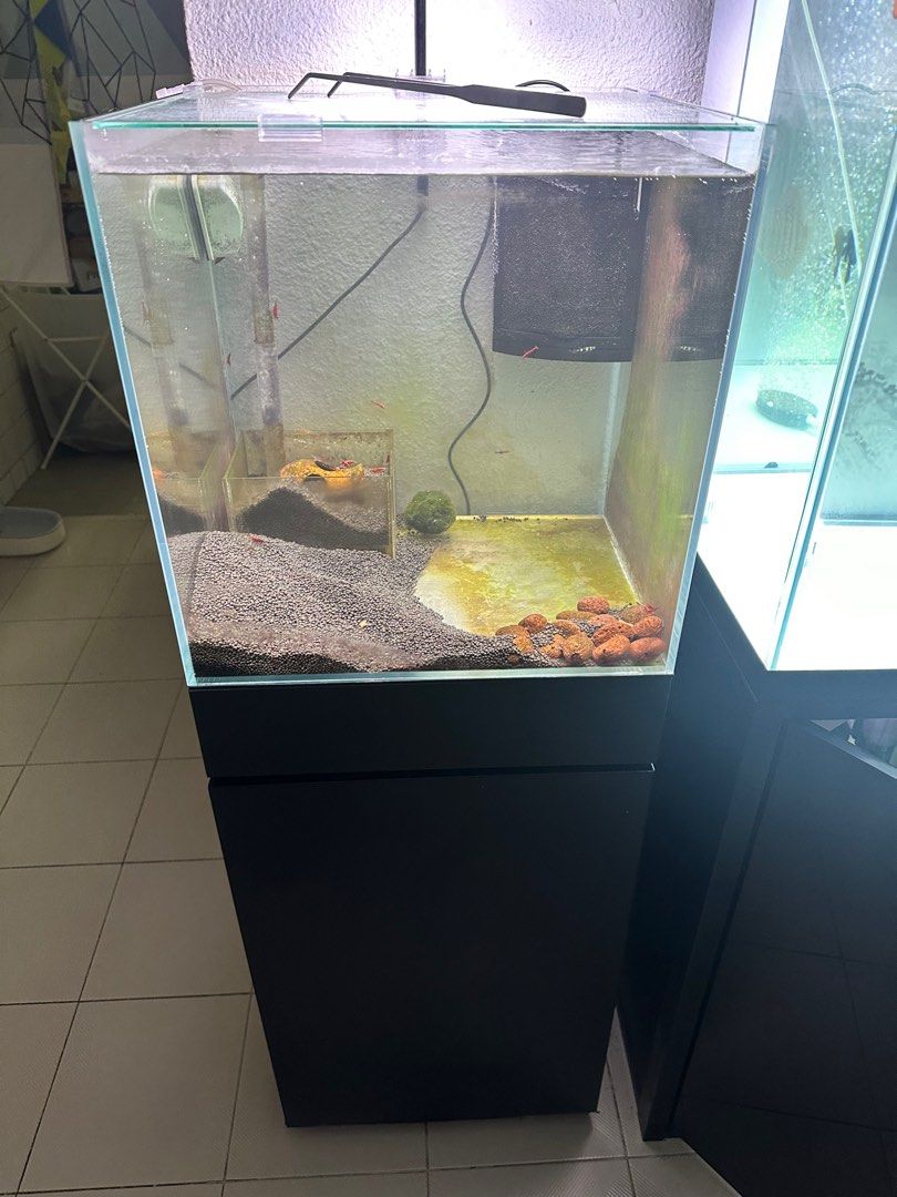 Cube Fish tank with cabinet, Pet Supplies, Homes & Other Pet ...