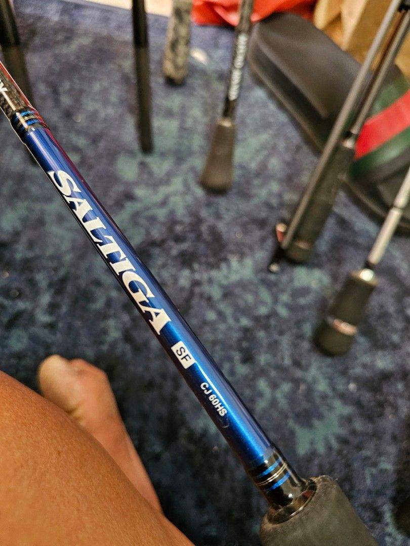 Daiwa saltiga rod, Sports Equipment, Fishing on Carousell