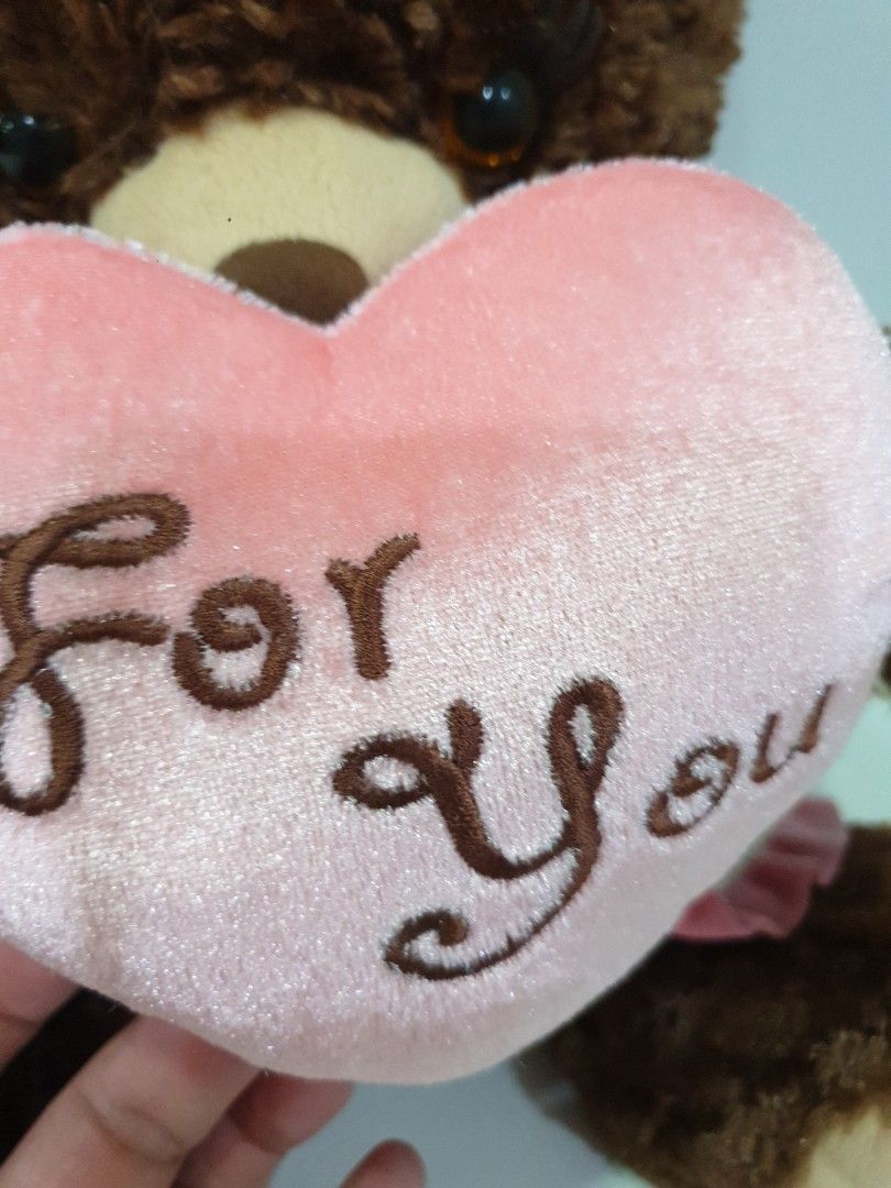 Disney Unibear Unibearsity Teddy bear Pudding Minnie Valentine plush ...